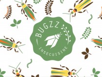 I Novel Food e le frontiere dell’alimentazione umana