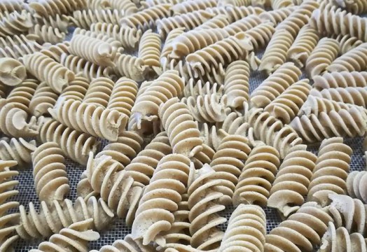 Proti-Farm: World’s first HACCP-certified insect company on the lesser ...