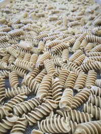 Italian gourmet pasta with edible insects